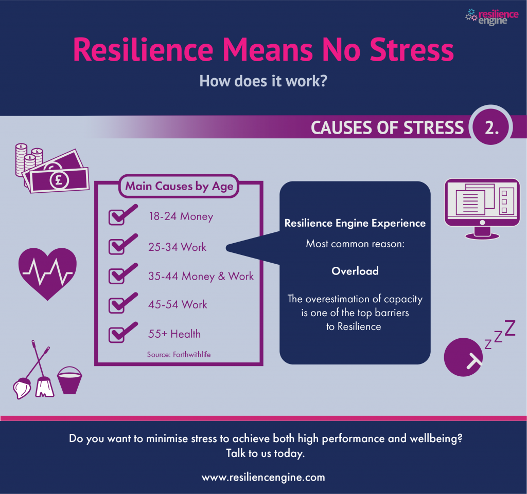 Resilience Means no stress - Week 2 - The Resilience Engine