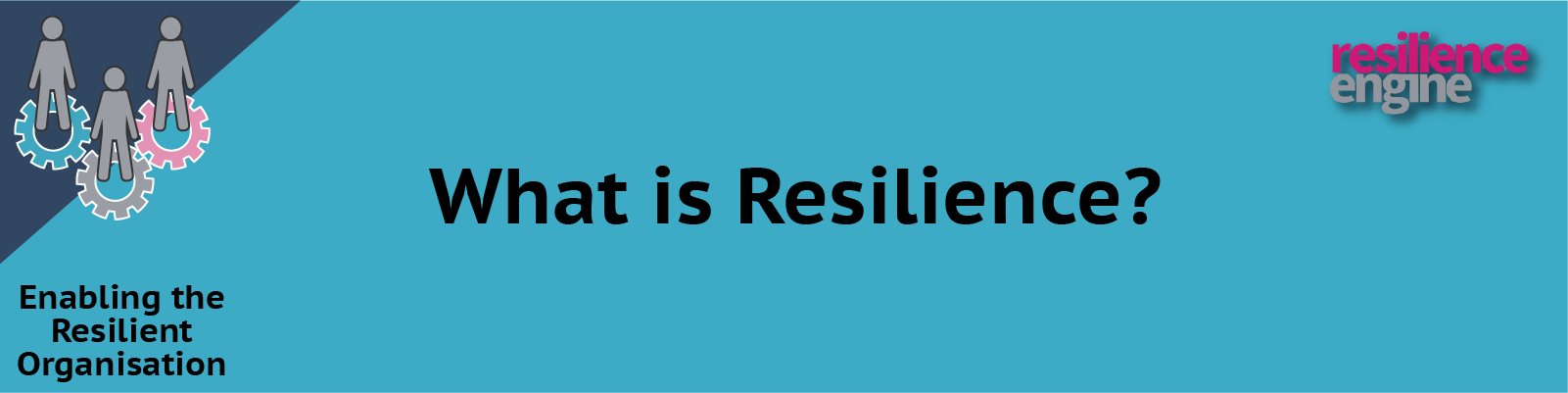 What is the definition of resilience ? - The Resilience Engine