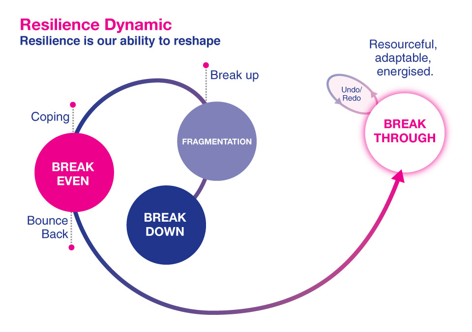 What is the definition of resilience ? - The Resilience Engine