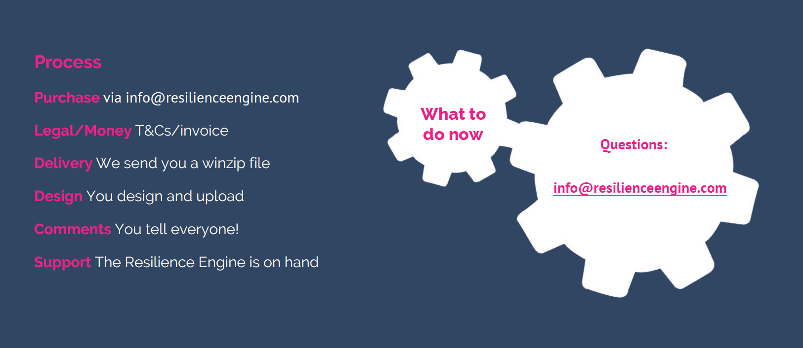 Resilience Starter Bundle - The Resilience Engine